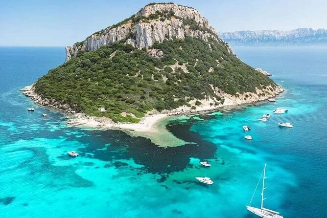 Dolphin Watching Boat Excursion to Figarolo Island from Olbia - Practical Tips