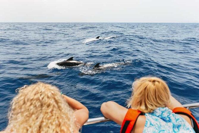 Dolphin Watching Tour with Snorkeling from Olbia - Why This Tour Works for You
