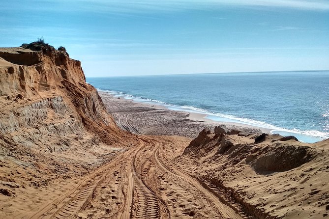 Donana National Park and El Rocío: Guided Tour from Seville - Final Thoughts