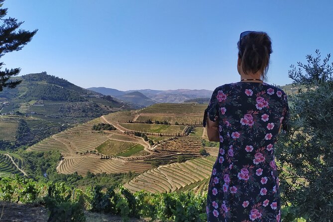 Douro Valley Prime Tour: Wine Tastings, Boat and Lunch from Porto - The Sum Up