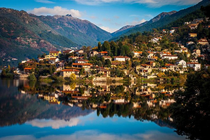 Douro Valley Private Tour from Oporto - The Flexibility and Comfort of a Private Tour