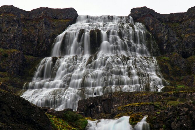 Dynjandi Waterfall & Iceland Farm Visit Tour - Final Thoughts