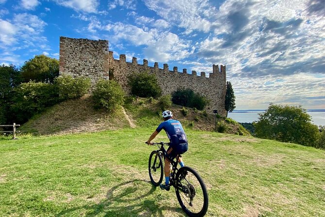 E-Bike and tour from Lonato del Garda with Wine Tasting - Who Is This Tour Best For?