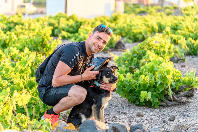 E-Bikes Rental in Santorini - The Sum Up
