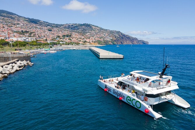 Eco-Friendly Catamaran Dolphin and Whale Watching - The Sum Up