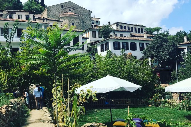 Ephesus Shore Excursion: Private Guide and Vehicle - Overall Experience and Value