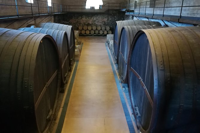 Etna Excursion and Lunch - Wine Tasting in Etna DOC Vinery - Final Thoughts: Who Will Love This Tour?
