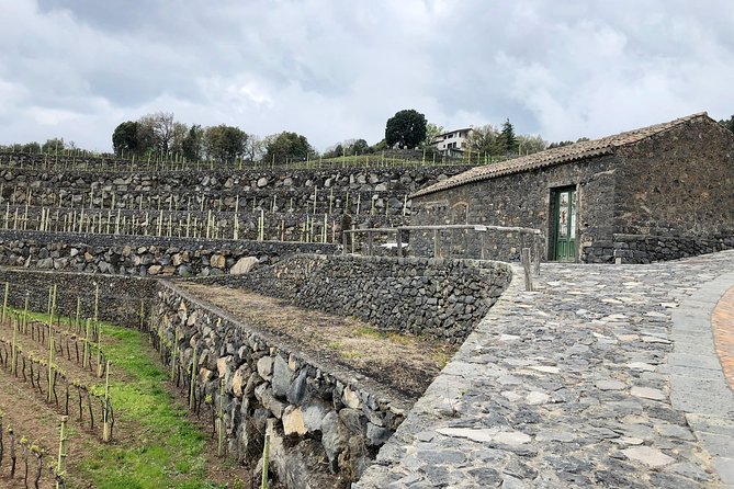 Etna tour 4x4 & Wine Experience in a farm - The Sum Up