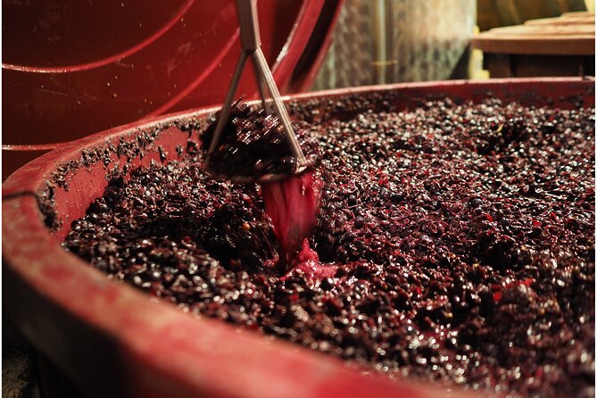 Etyek Private Half-Day Wine Tasting Tour from Budapest - Who Is This Tour Best For?
