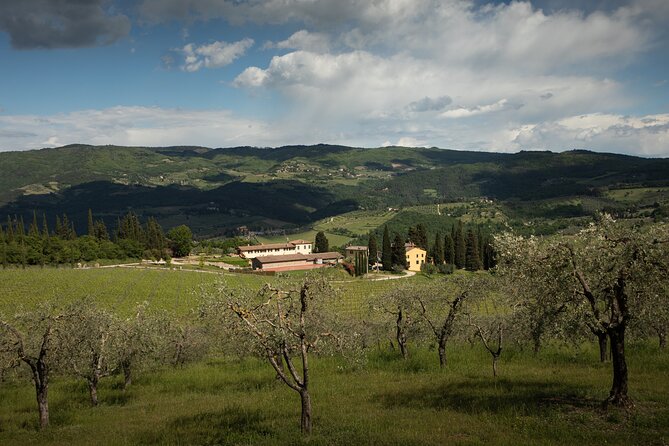 Exclusive Lunch Tour and Wine tasting at a Chianti Classic Winery - The Experience — What It Means for You