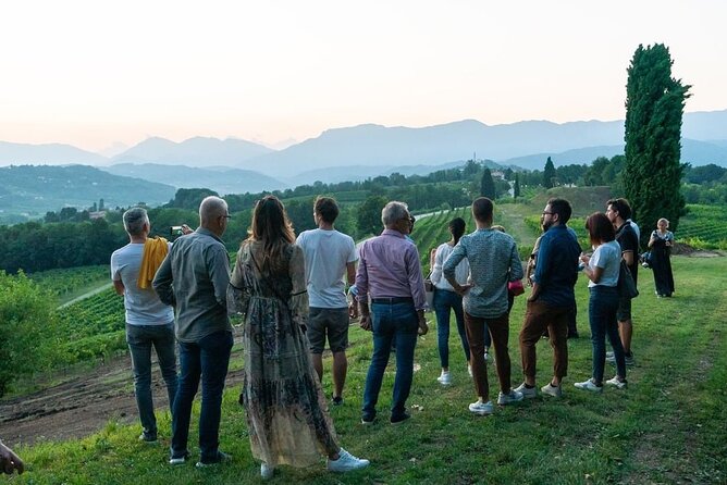 Exclusive Tour of the Vineyards with Visit to the Cellar! - The Scenic Location and Its Significance