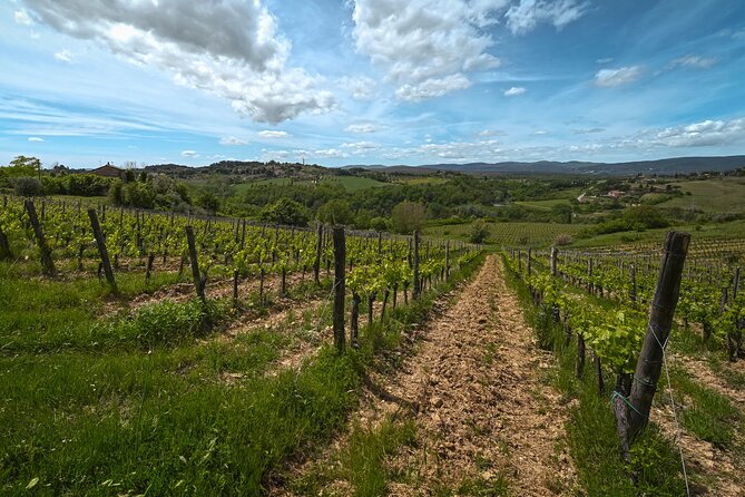 Exclusive Wine Tour and Tasting Experience in Siena - FAQ