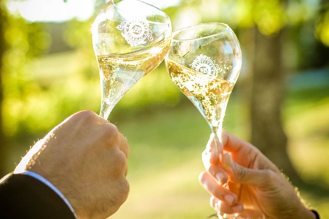 Excursion to the Champagne region and Wine Tasting - FAQs