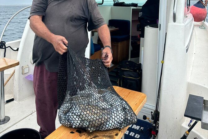 Explore Sesimbra Sports Fishing - Who is This Tour Best For?