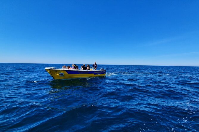 Express Tour - Benagil Cave - Who Should Consider This Tour?