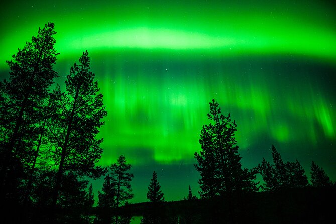 Family-Friendly: Northern Lights Adventure from Rovaniemi - References