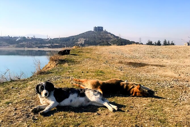 Family Half-Day Tour: Sabaduri, Georgian Chronicles, & Jvari - Frequently Asked Questions