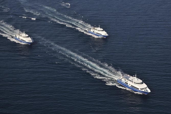 Ferry from Cannes to St Tropez - Practical Tips for Your Trip