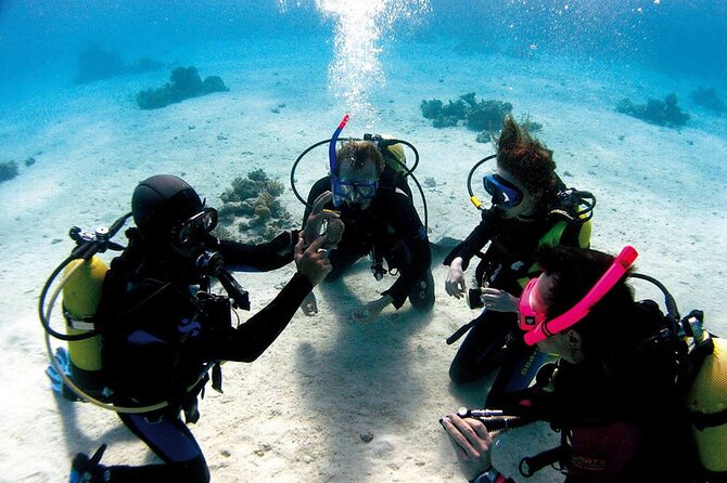 Fethiye Scuba Diving Experience By A Local Expert - Practical Details & Tips