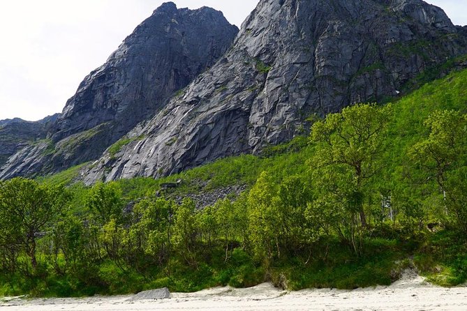 Fjord Sightseeing - Eco friendly Tesla Model X - Who Will Love This Tour