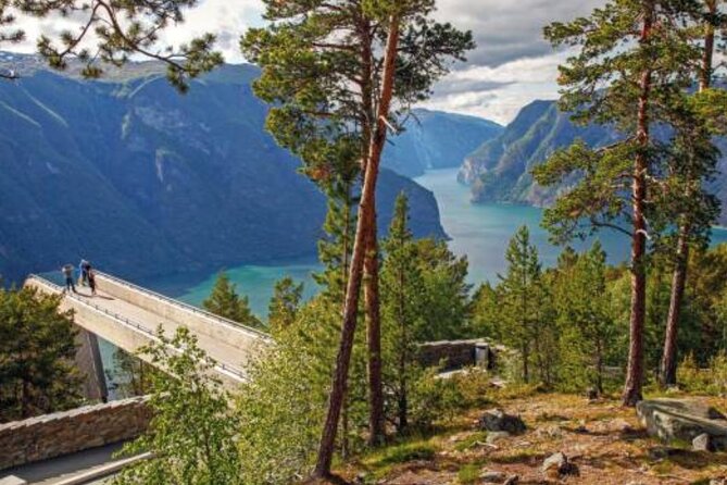 Flam: The Spectacular Stegastein Viewpoint Tour (Small Group) - Final Thoughts