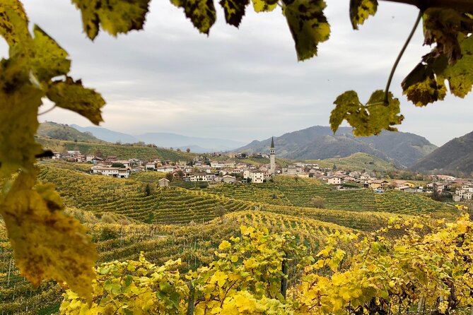 Food and Wine Tour on the Prosecco Hills from Venice - Who Will Like This Tour?
