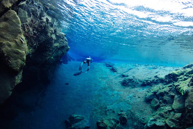 Freedive Silfra Half Day Tour - Real Traveler Insights from Reviews