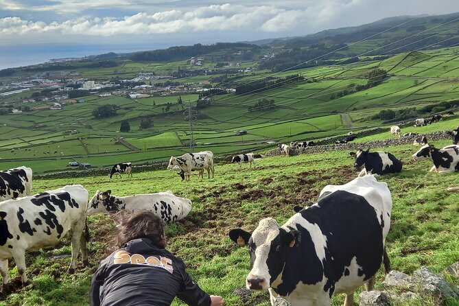 From Angra: Terceira Island Full-Day Jeep Tour (Shared Tour) - Is the Price Worth It?