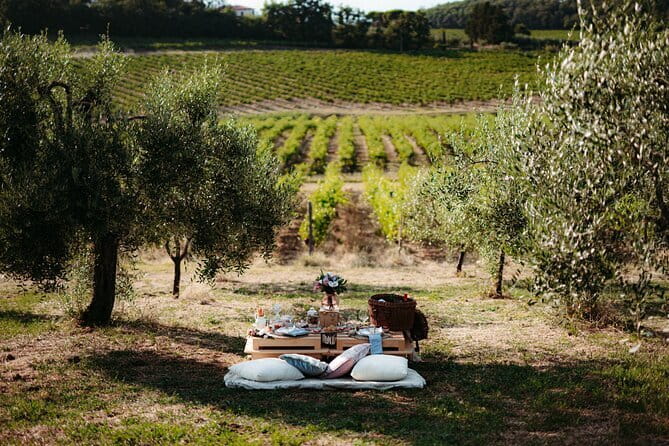 From Florence to Chianti Rufina: Wine Tasting Experience - Summary of Pros and Cons