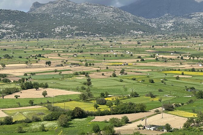 From Heraklion Private Day Tour Knossos-Lassithi Plateau - The Guides Make the Difference