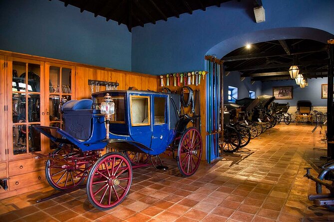 From Lisbon to Evora with Visits and Wine Tasting Guided Tour - Who Will Like This Tour?