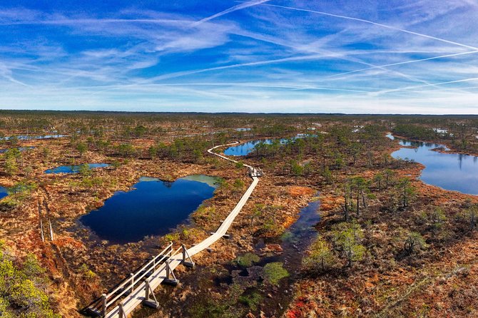From Riga: Best of Kemeri National Park In One Day - Final Thoughts: Why This Tour Stands Out