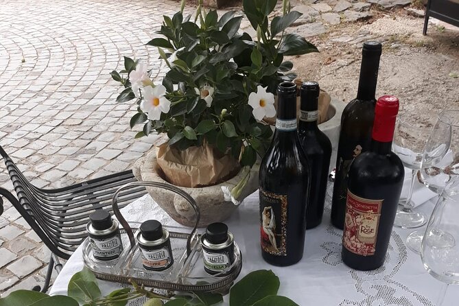 From Rome to the Castles: Private 3-Hour Wine Tasting Tour - Who Will Love This Tour?