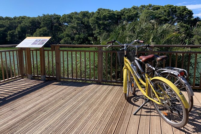 From the Old Town to the City of Arts  Small Group Bike Tour - The Practical Side: Scheduling, Cost, and Group Dynamics