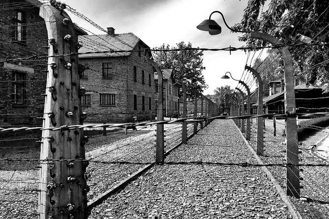 From Warsaw: Auschwitz-Birkenau Tour with Premium Train Transportation - The Long Day: Pros and Cons