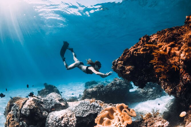 Full Day Boat Tour, Blue Lagoon and olta with lunch&drinks - The Sum Up: Who Should Consider This Tour?