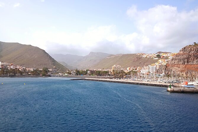 Full-day Bus Tour to La Gomera Island with Professional Guide - The Sum Up
