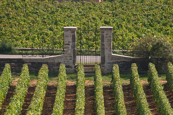 Full day from Dijon: the most of Burgundy with lunch - FAQs about the Burgundy Full-Day Tour from Dijon
