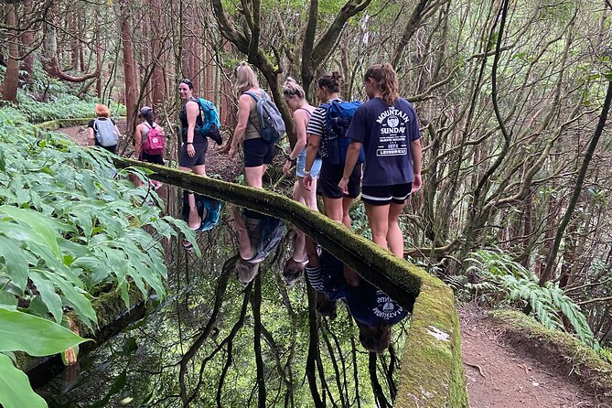 Full Day Hiking Trail in Lagoa do Fogo Sao Miguel - Who Will Love This Tour?