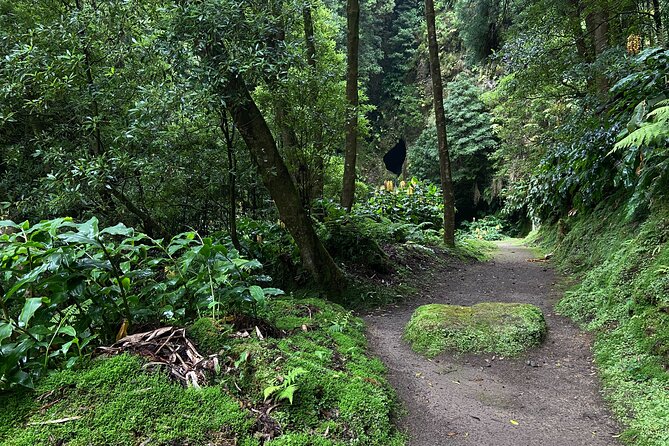 Full Day Hiking Trail Janela do Inferno + Caldeira Velha - FAQ