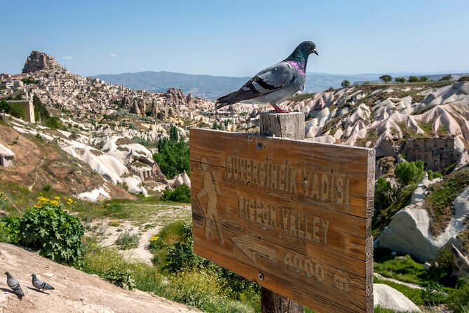 Full Day Private Cappadocia Tour (Guide & Driver) - The Value of a Private Tour