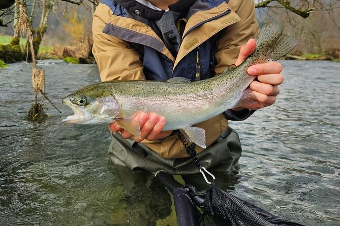 Full Day Private Guided Fishing Charter along the Isonzo Front - Price, Value, and Practical Tips