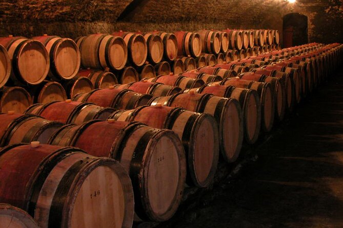 Full Day Private Tour 10 Premiers & Grands Crus, The Best of Burgundy - Final Thoughts