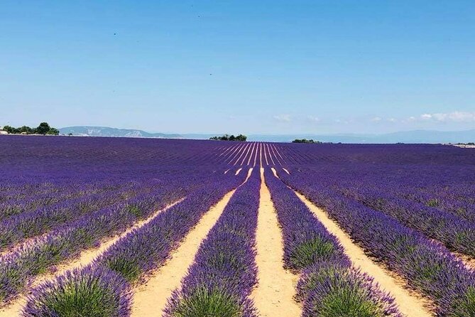 Full-day Private Tour Gorges du Verdon (LAVENDER JUNE 15/JULY 15) - Final Thoughts: Is This Tour Worth It?