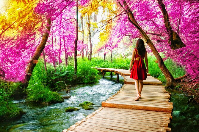 Full Day Private Tour in Plitvice Lakes and Rastoke from Zagreb - Who Should Consider This Tour?