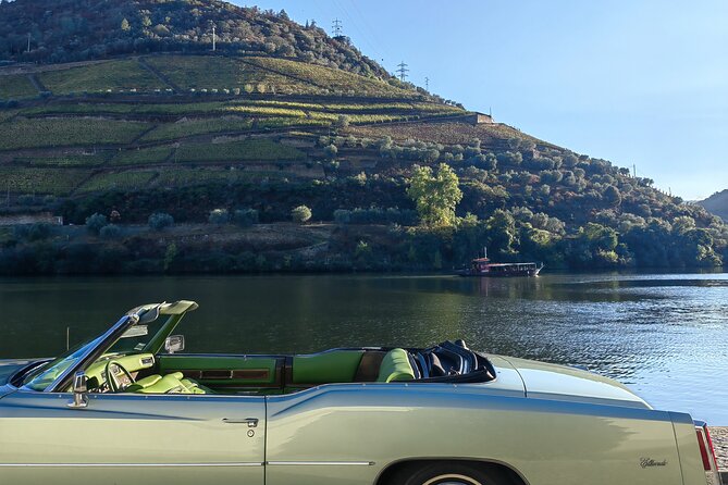 Full Day Private Tour to Douro - Vintage Experience - Artistic Stops and Scenic Views