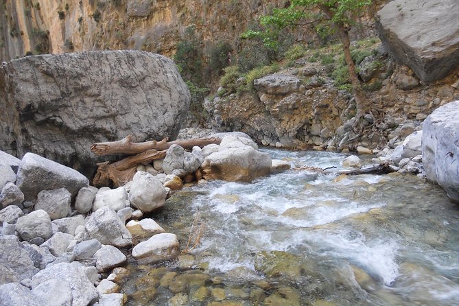 Full Day Samaria Gorge 10-Mile Walking Tour - Final Thoughts