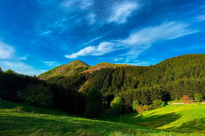 Full Day Tirana City & Dajti National Park, Private Tour - Is This Tour Right for You?