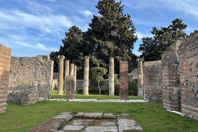 Full Day Tour to Pompeii, Vesuvius and Wine Tasting - Who Would Love This Tour?