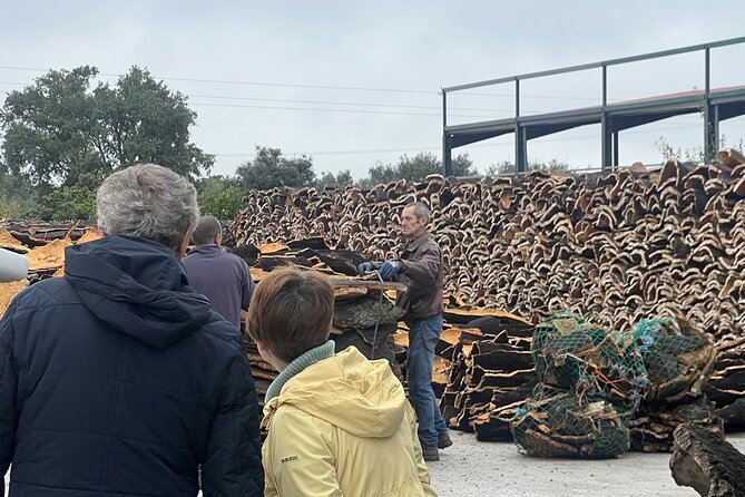 Full-day Trip in Evora, Winery & Cork Factory Private Transport - The Sum Up